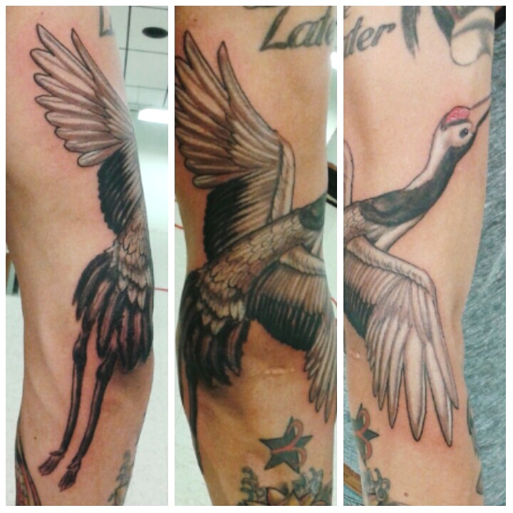 Daniel Forrester – Inkblot Studio